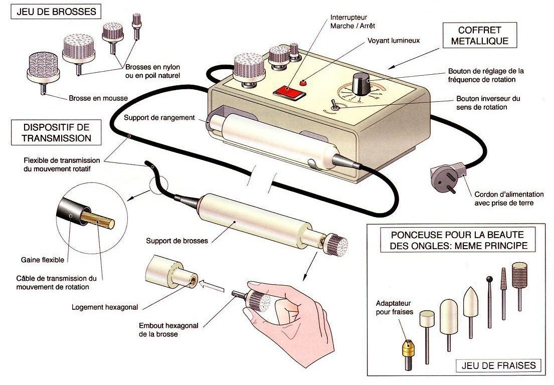 SEQUENCE 10 : PEAU MIXTE - LS Académie